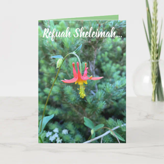 Healing Prayer, Refuah Sheleimah Card | Zazzle