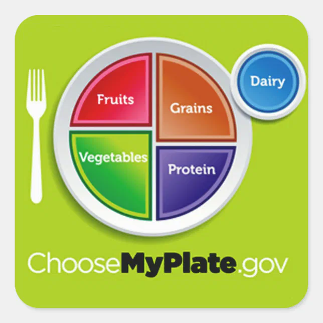 Healthy Meal Planning Choose My Plate Square Sticker | Zazzle