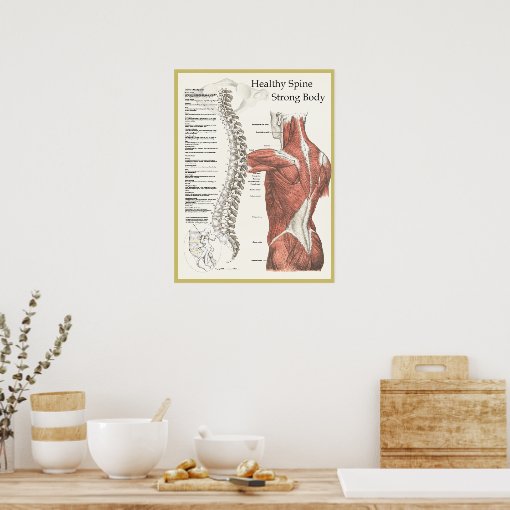 Healthy Spine, Strong Body Chiropractic Poster | Zazzle