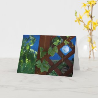 Heard it Through the Grapevine Funny Birthday Card | Zazzle