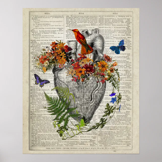 Heart Anatomy with Flowers Butterflies Hummingbird Poster | Zazzle