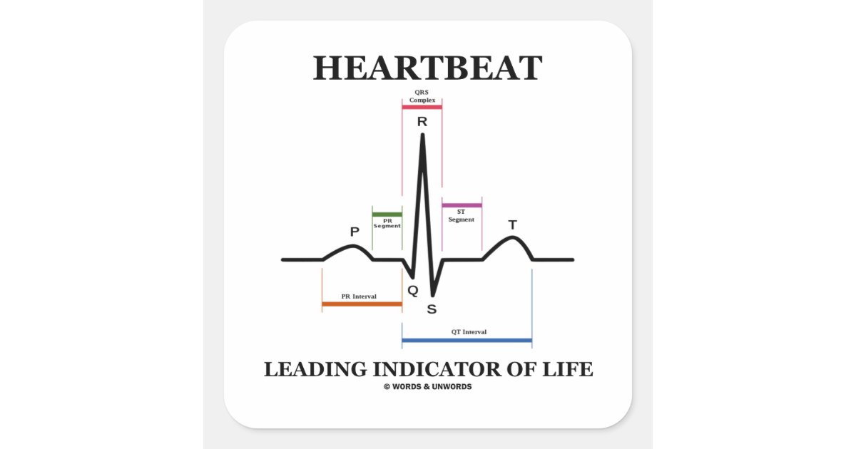 Heartbeat Leading Indicator Of Life (ECG/EKG) Square Sticker | Zazzle