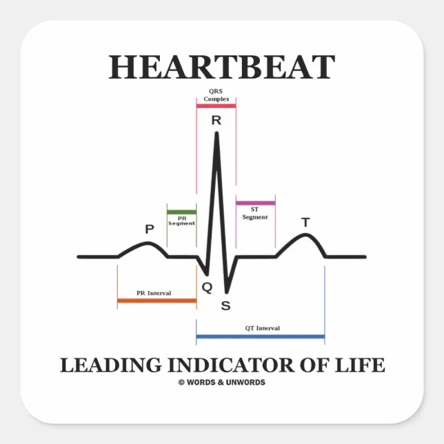 Heartbeat Leading Indicator Of Life (ECG/EKG) Square Sticker | Zazzle