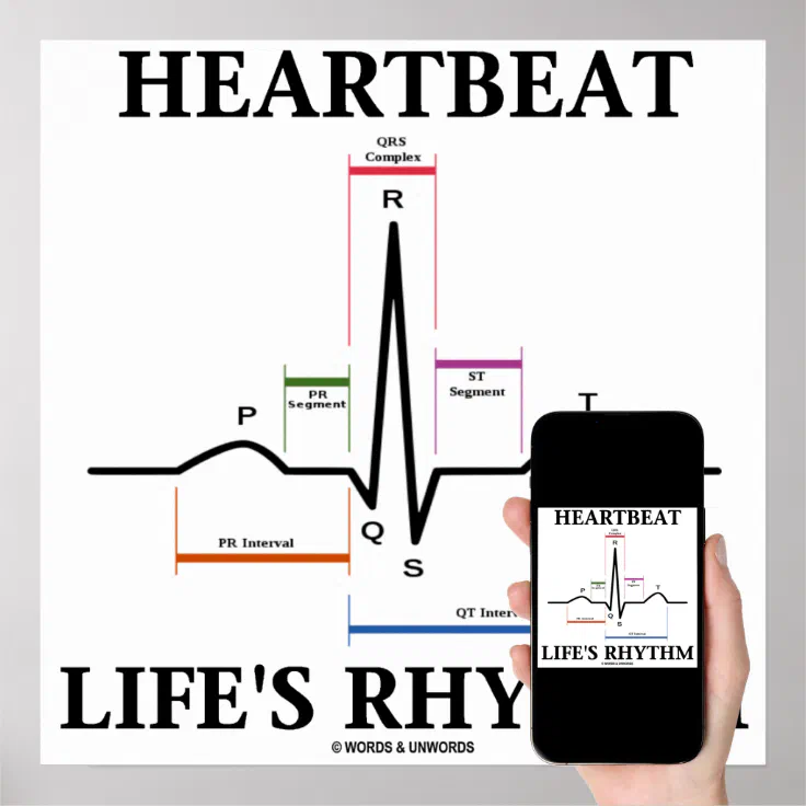 Heartbeat Life's Rhythm (ECG / EKG Heartbeat) Poster | Zazzle