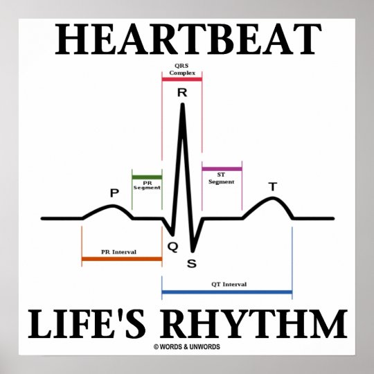 Heartbeat Life's Rhythm (ECG / EKG Heartbeat) Poster | Zazzle.com