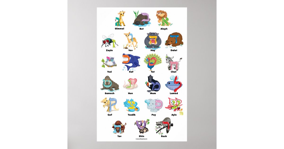 Hebrew Aleph Bet (Alphabet) Poster, 24"x36" Poster | Zazzle
