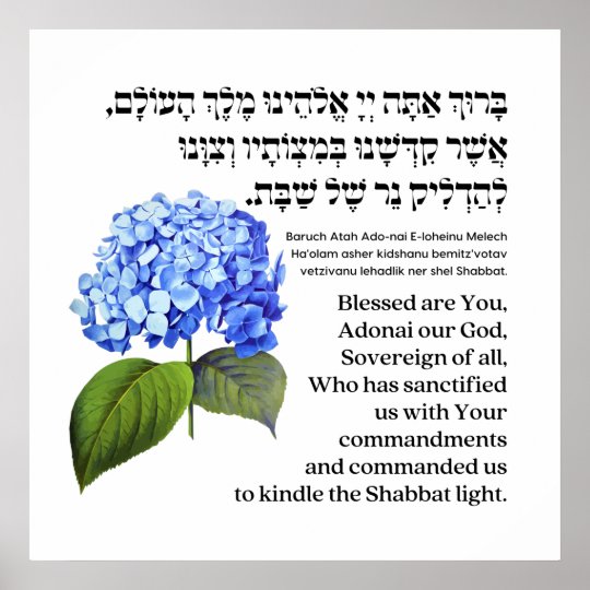 Hebrew Blessing for Shabbat Candles Hydrangea Poster | Zazzle.com