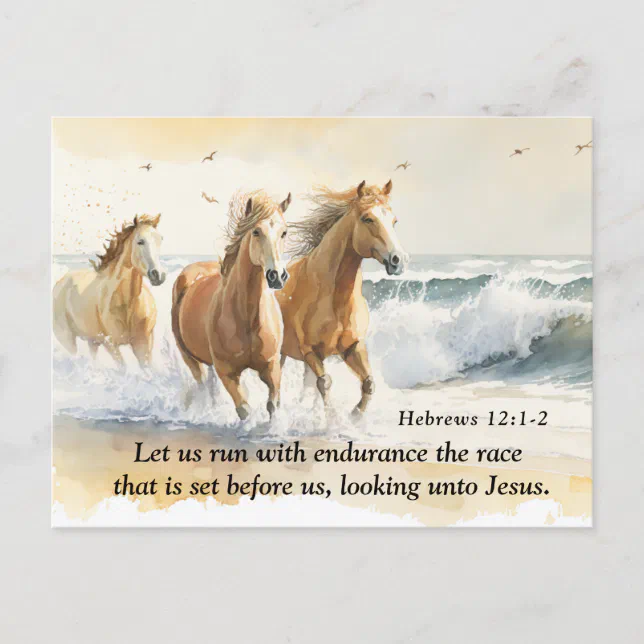 Hebrews 12:1 Let us Run with Endurance Bible Horse Postcard | Zazzle