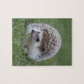 Hedgehog Jigsaw Puzzle | Zazzle