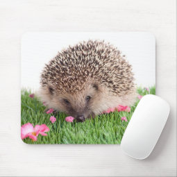 hedgehog, mouse pad | Zazzle
