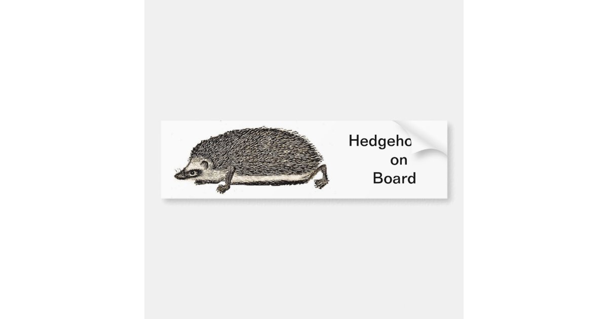 Hedgehog on Board - BUMPER STICKER | Zazzle