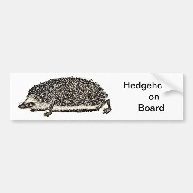 Hedgehog on Board - BUMPER STICKER | Zazzle