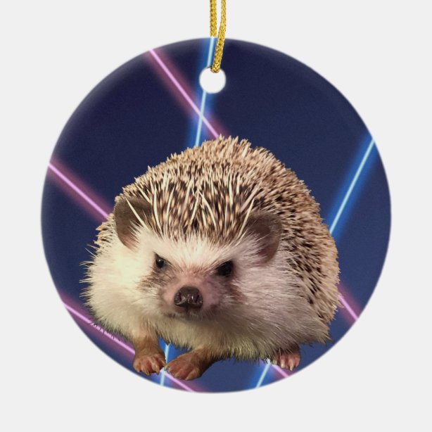 Personalized Hedgehog Gifts on Zazzle