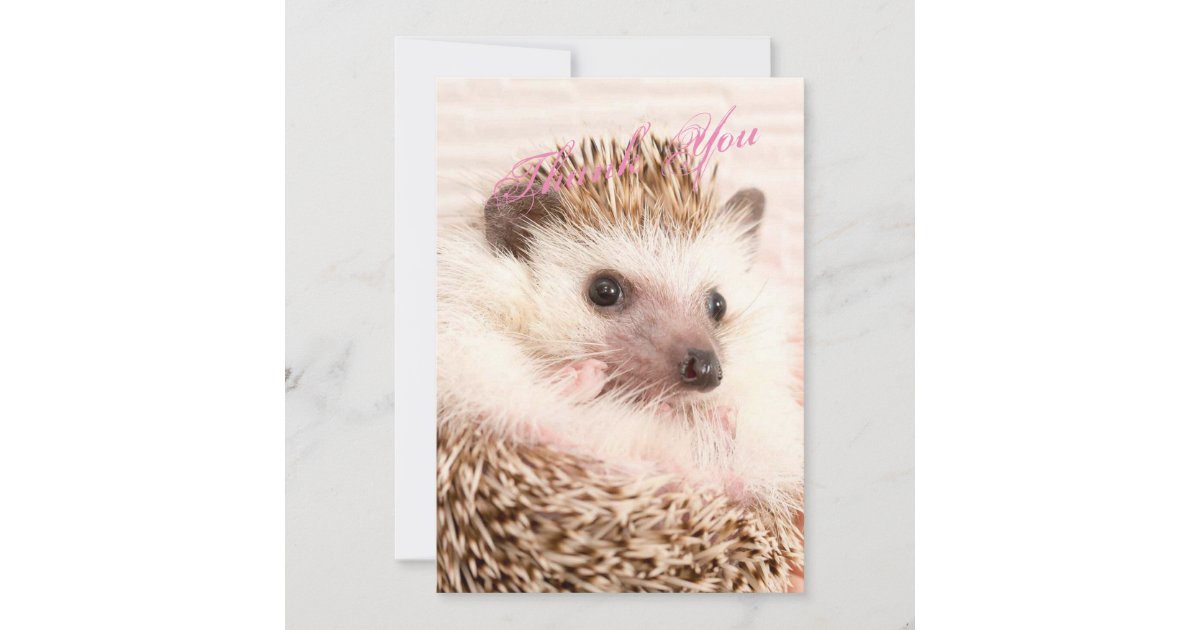 Hedgehog Thank You Card | Zazzle
