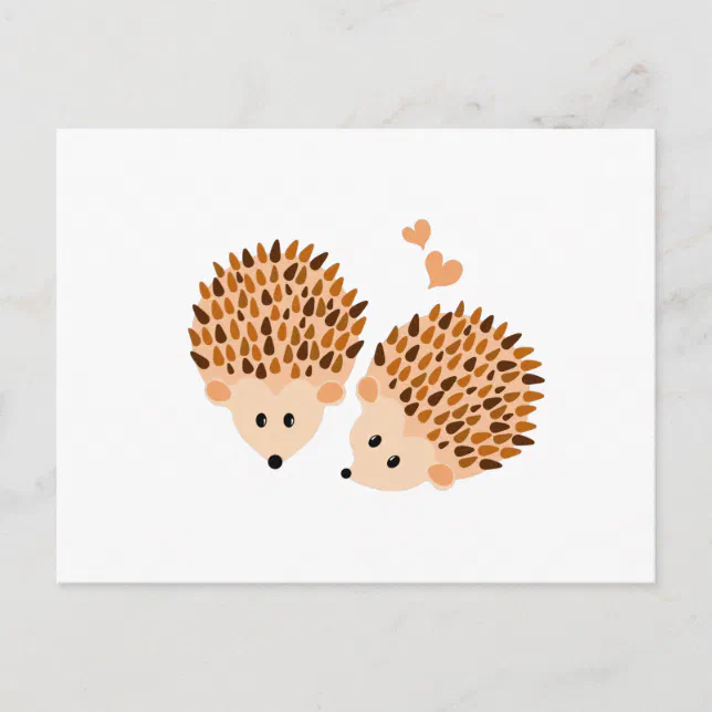 Hedgehogs illustration postcard | Zazzle