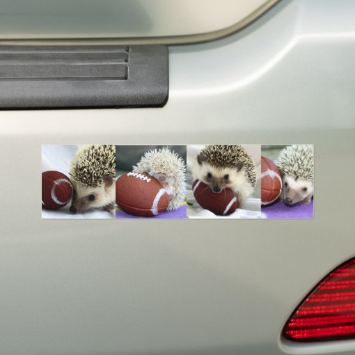Hedgehogs Playing Football Bumper Sticker | Zazzle