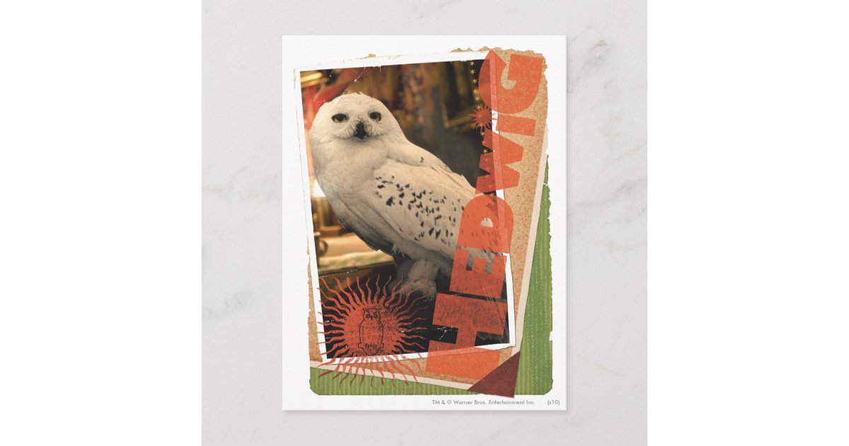 Hedwig 1 postcard | Zazzle