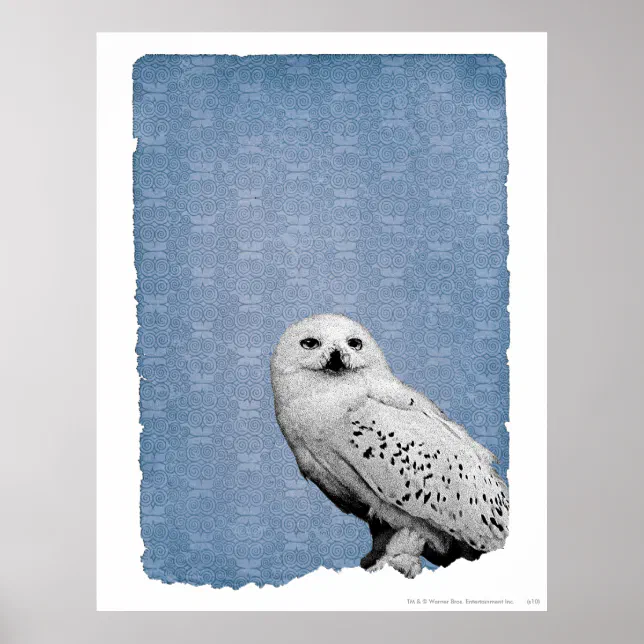 Hedwig 2 poster | Zazzle