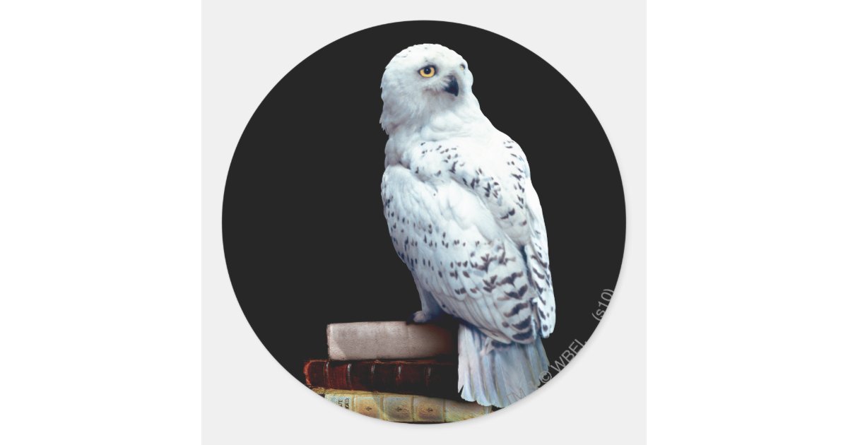 Hedwig on books classic round sticker | Zazzle