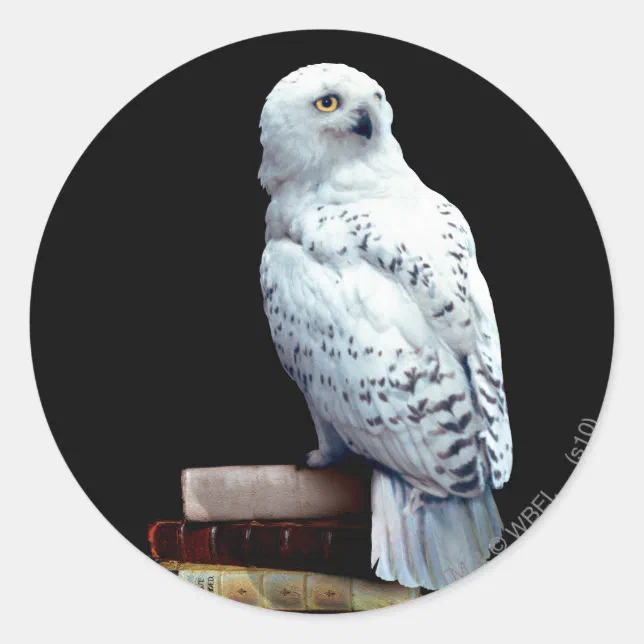 Hedwig on books classic round sticker | Zazzle