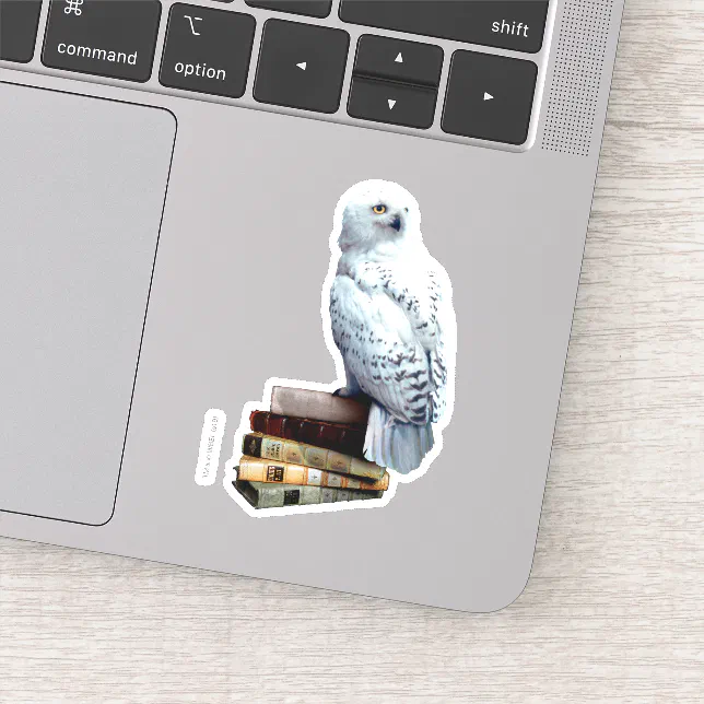 Hedwig on books sticker | Zazzle