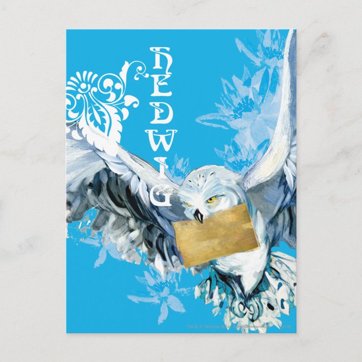 Hedwig Postcard | Zazzle
