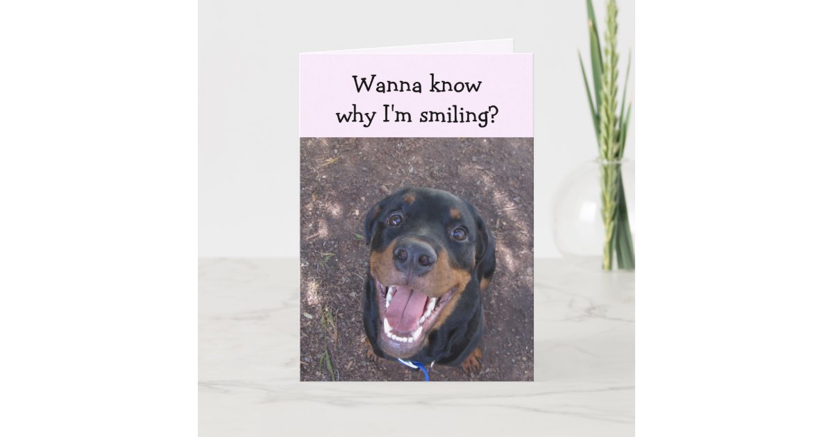 Heidi Happy Rottweiler Valentine's Day Card | Zazzle