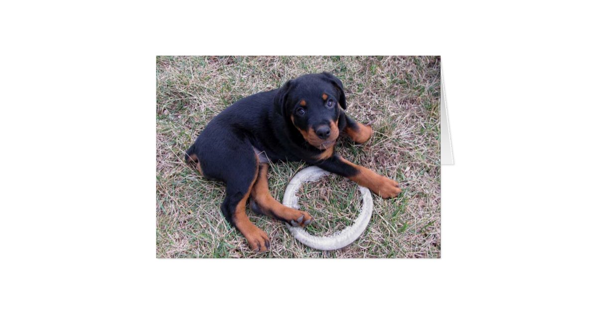 Heidi Rottweiler Counting The Hours Card | Zazzle