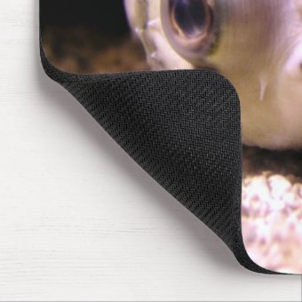 Helaine's Blowfish Pufferfish Mouse Pad | Zazzle