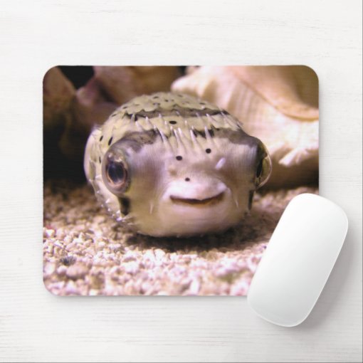 Helaine's Blowfish Pufferfish Mouse Pad | Zazzle