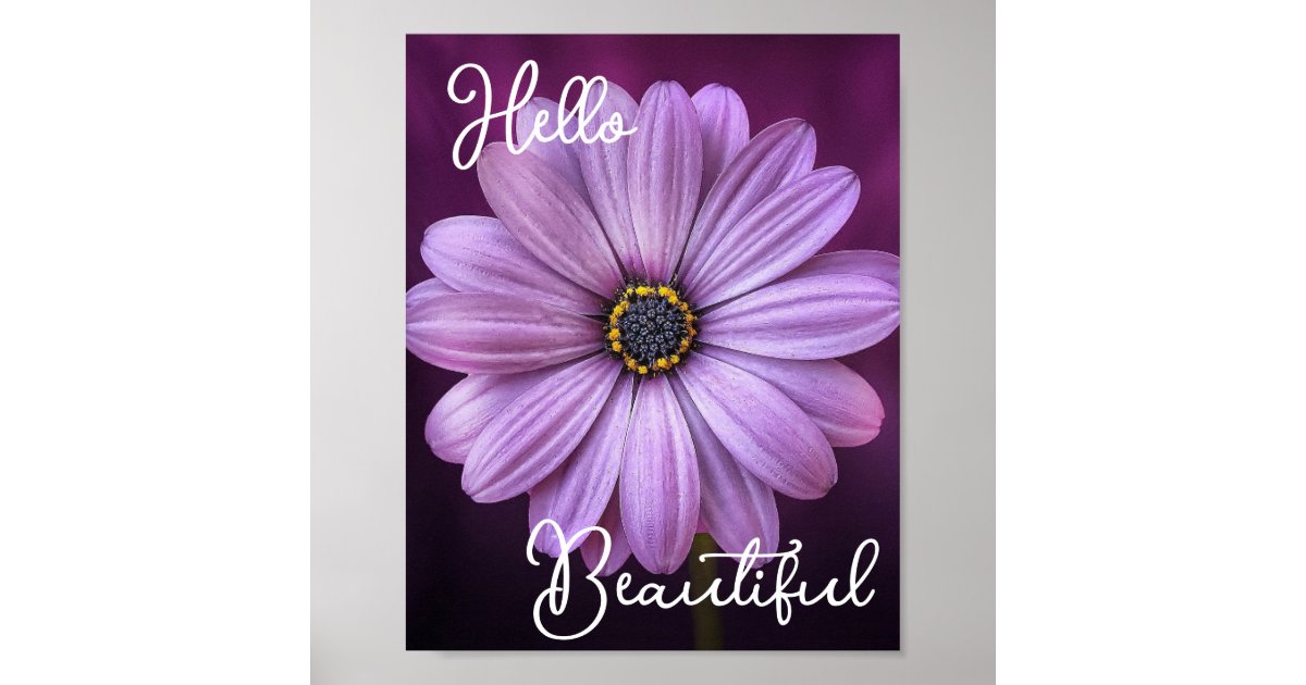 Hello Beautiful Purple Flower Poster | Zazzle
