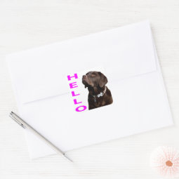 Hello Black Brown Labrador Retriever Sticker Label | Zazzle