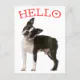Hello Boston Terrier Puppy Dog Red Thinking of You Postcard | Zazzle