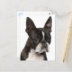 Hello Boston Terrier Puppy Dog Thinking of You Postcard | Zazzle