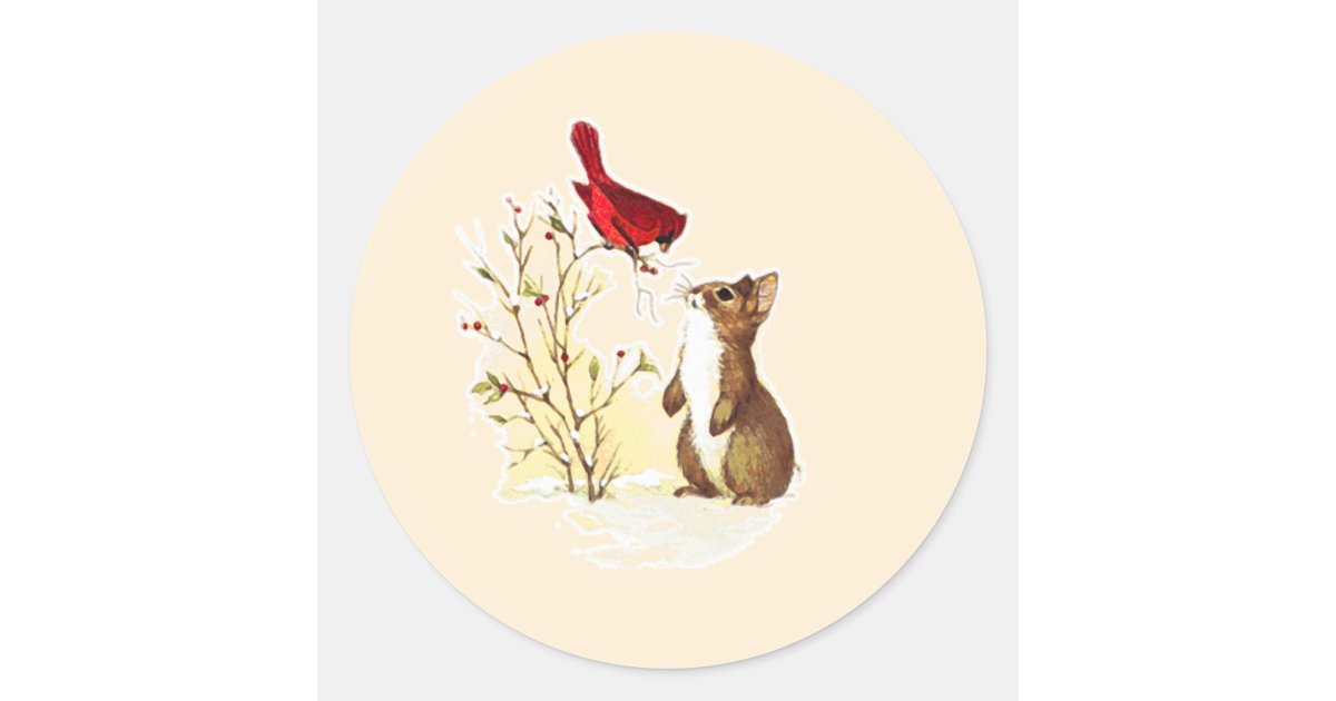 Hello bunny stickers | Zazzle