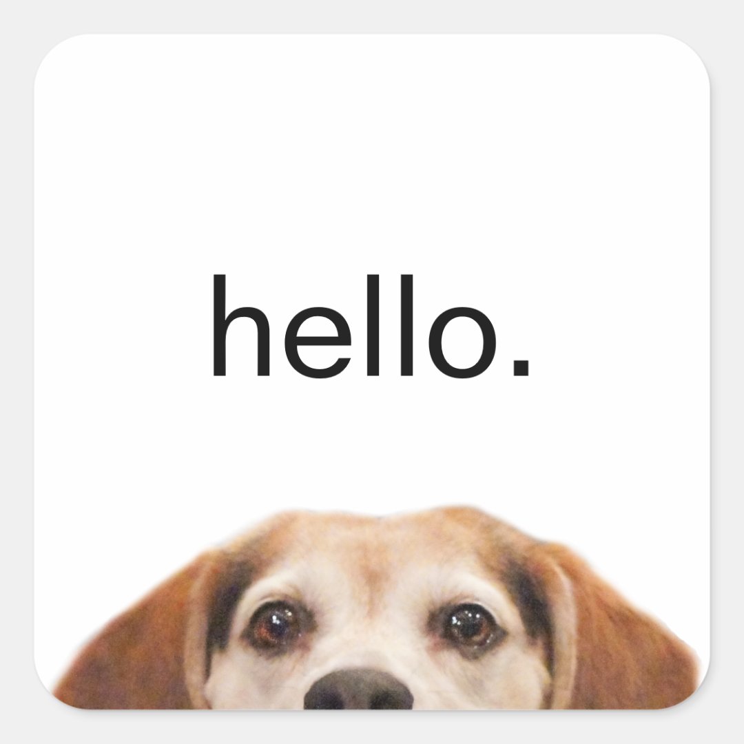 Hello Cute Funny Beagle Dog Modern Trendy Square Sticker | Zazzle
