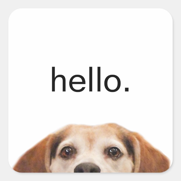 Hello Cute Funny Beagle Dog Modern Trendy Square Sticker | Zazzle