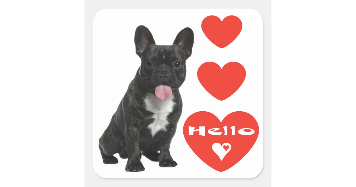 Hello French Bulldog Puppy Dog Sticker / Seals | Zazzle