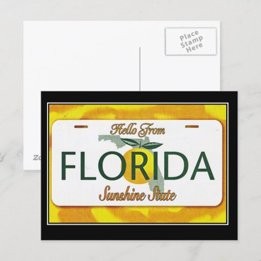 Hello From Florida Vintage Travel Postcard | Zazzle