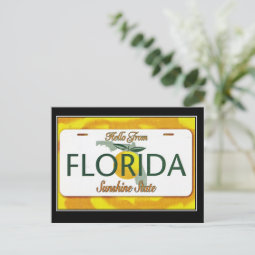 Hello From Florida Vintage Travel Postcard | Zazzle