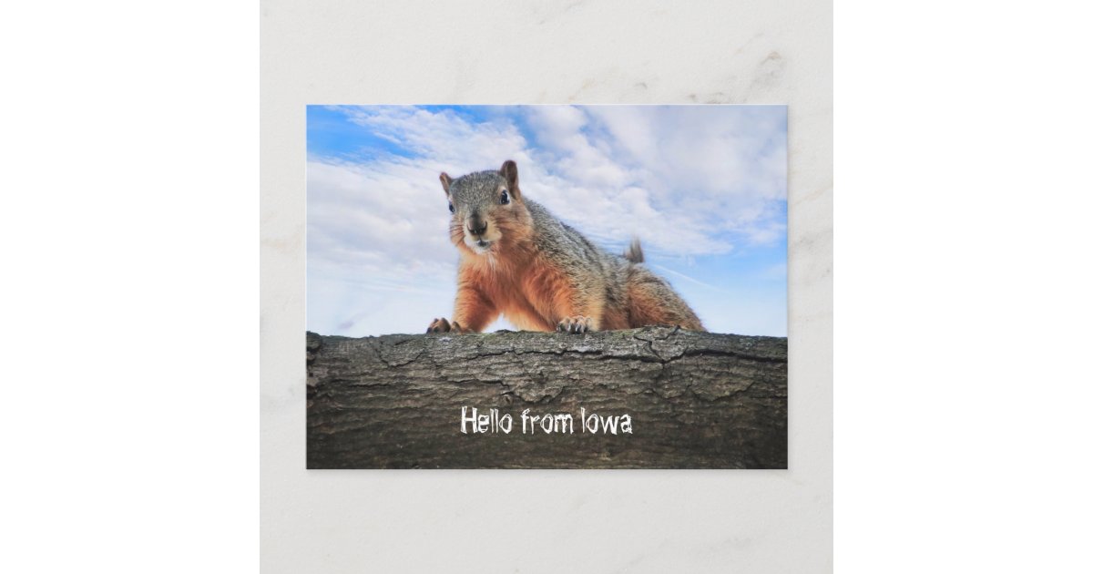 Hello From Iowa Postcard | Zazzle