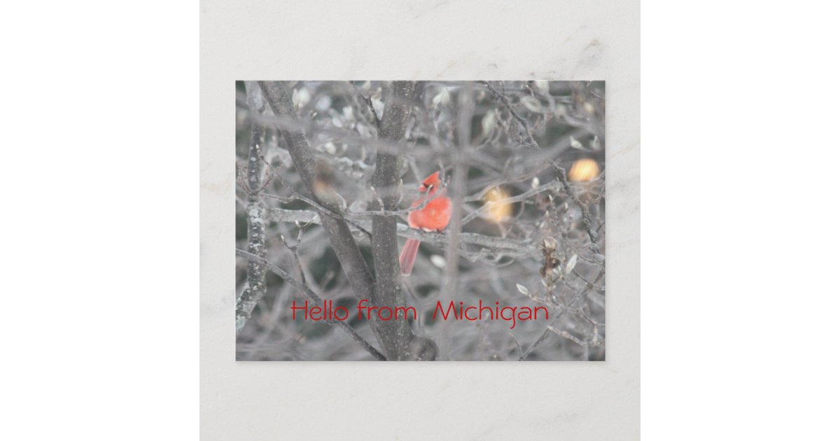 Hello from Michigan Postcard | Zazzle