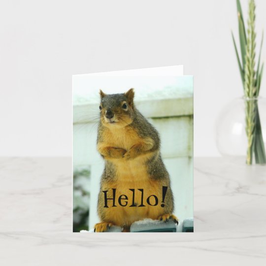 Hello from Squirrel Card | Zazzle.com