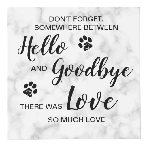 Hello Goodbye Dog Keepsake Pet Memorial Photo Cube | Zazzle