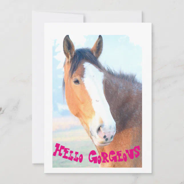 Hello Gorgeous Horse Birthday Cards | Zazzle