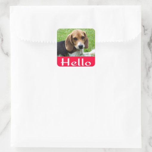 Hello / Hi Beagle Puppy Dog Red Greeting Sticker | Zazzle