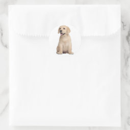 Hello / Hi Labrador Retriever Puppy Dog Stickers | Zazzle