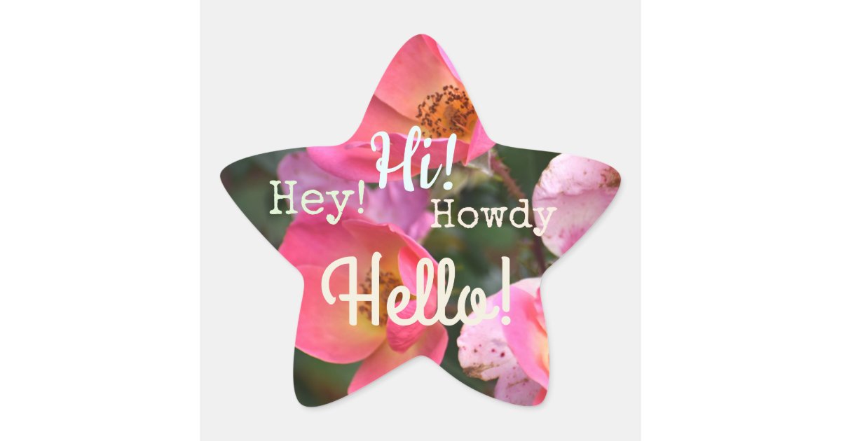 Hello! Howdy! Hi! Flower Star Sticker | Zazzle