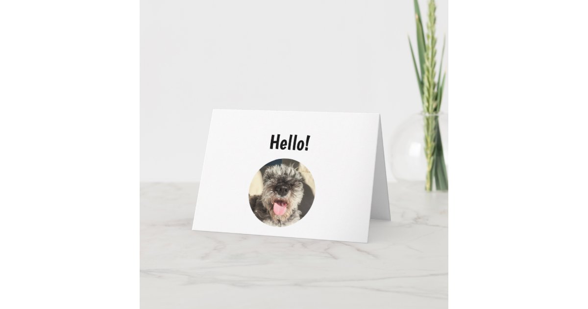 Hello I Like Fish Sticks Greeting Card | Zazzle