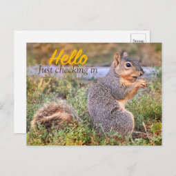 Hello Just Checking In Postcard | Zazzle